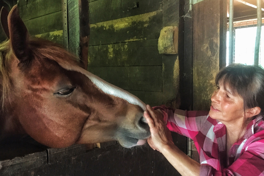 Our Team - HIDDEN POND FARM EQUINE RESCUE
